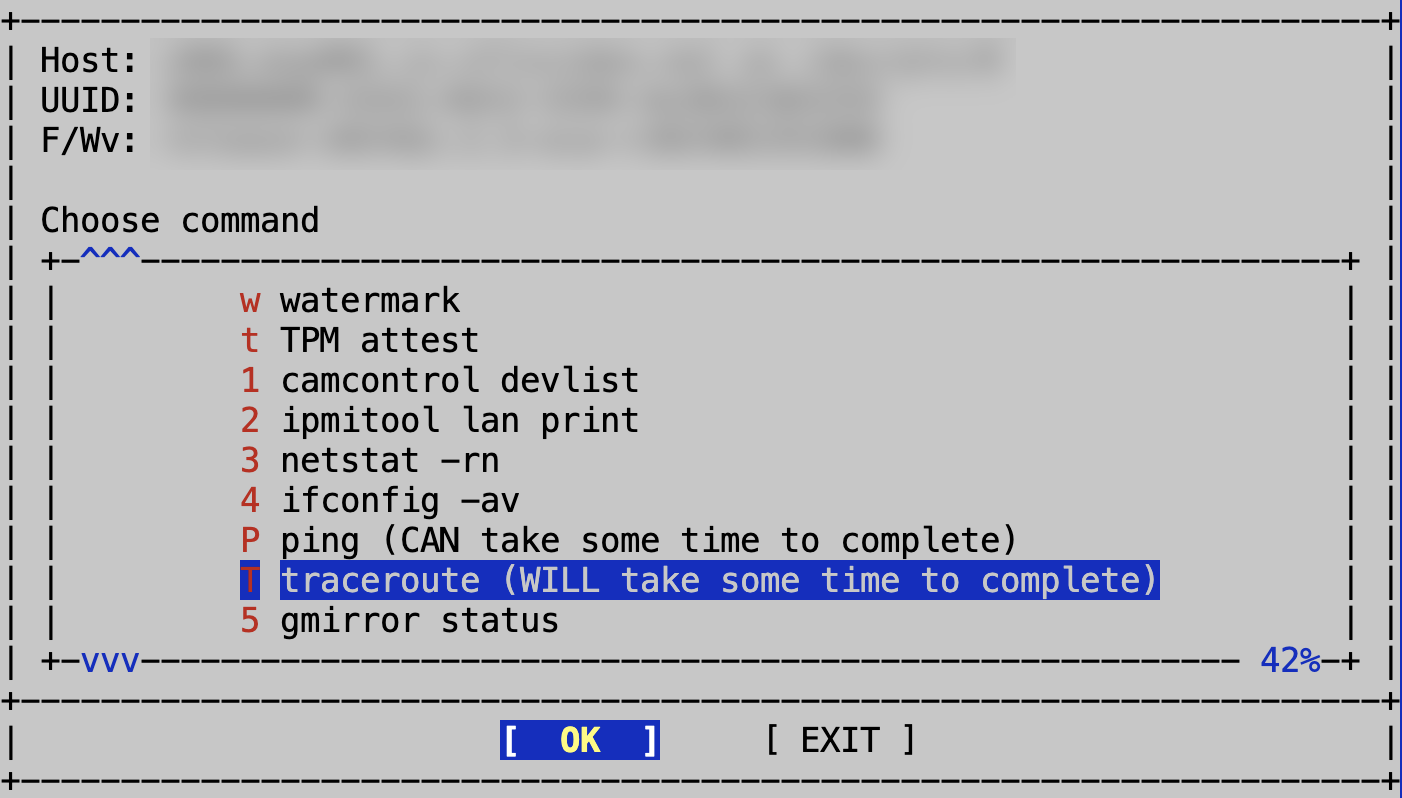 Running Network Utilities Ping And Traceroute Commands On An Oca